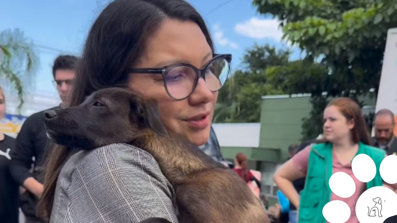 Quais são os 3 cachorros do Lula?