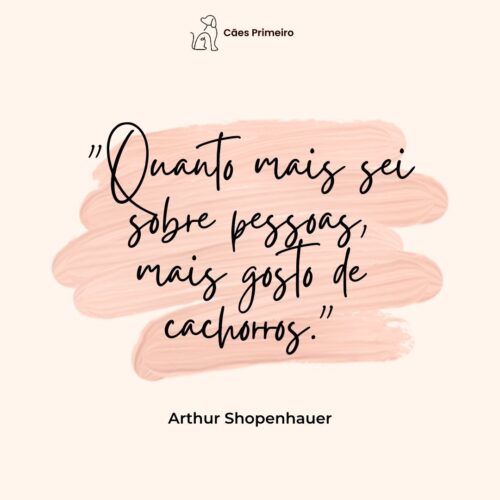Amor de pet: +100 frases para cachorro curtas e engraçadas