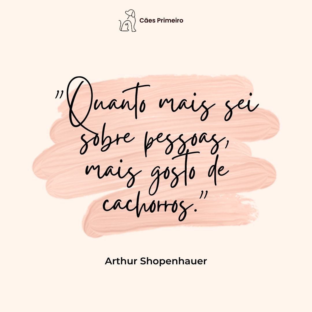 Amor de pet: +100 frases para cachorro curtas e engraçadas