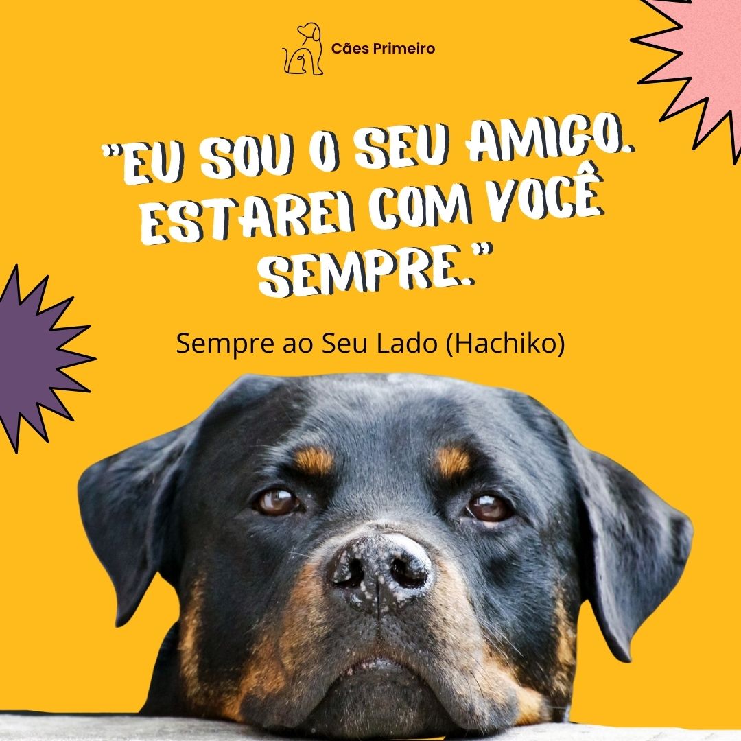 Amor de pet: +100 frases para cachorro curtas e engraçadas