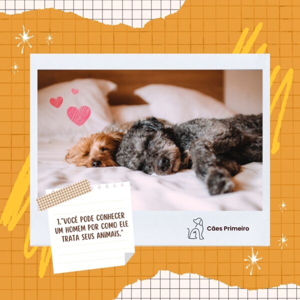 Amor de pet: +100 frases para cachorro curtas e engraçadas