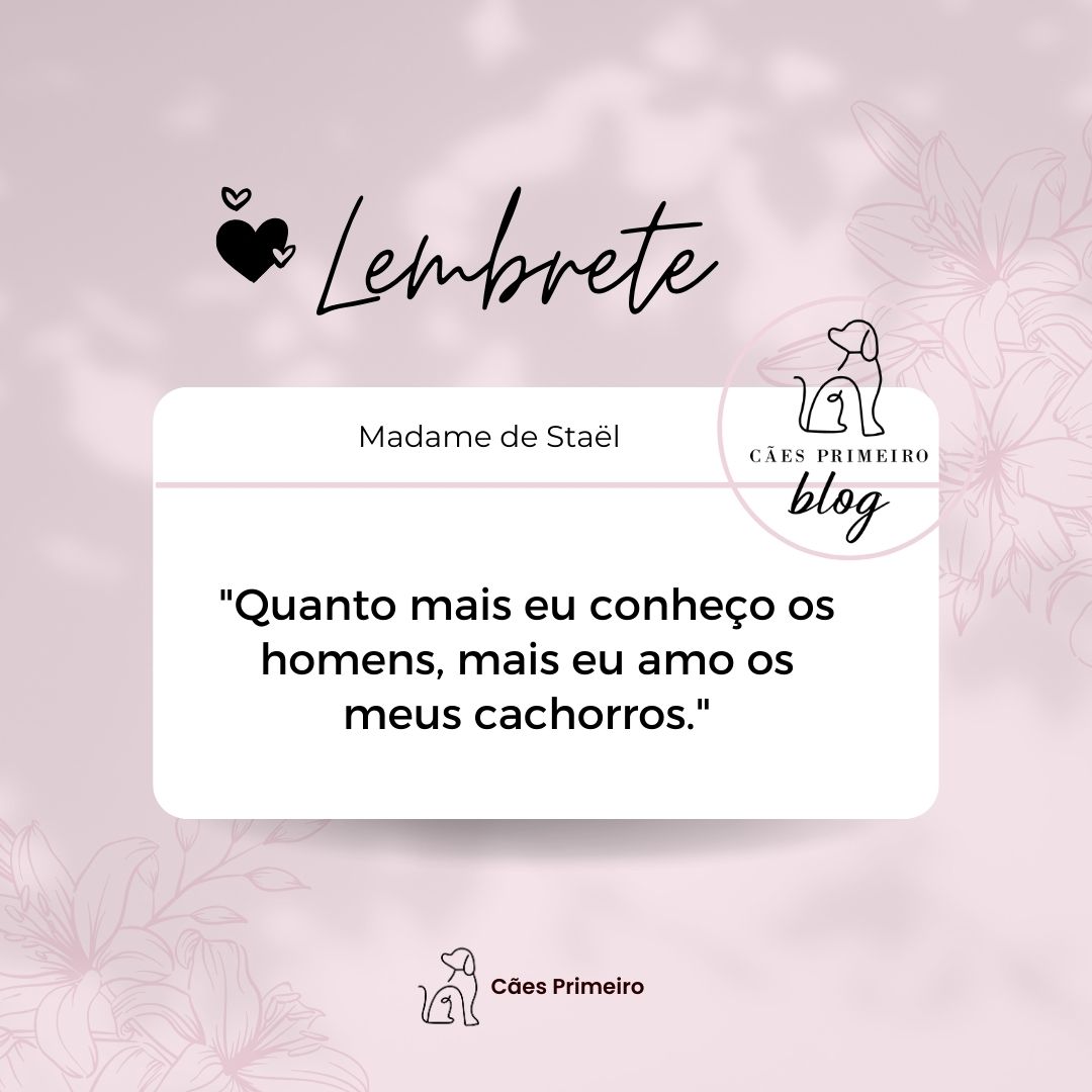 Amor de pet: +100 frases para cachorro curtas e engraçadas