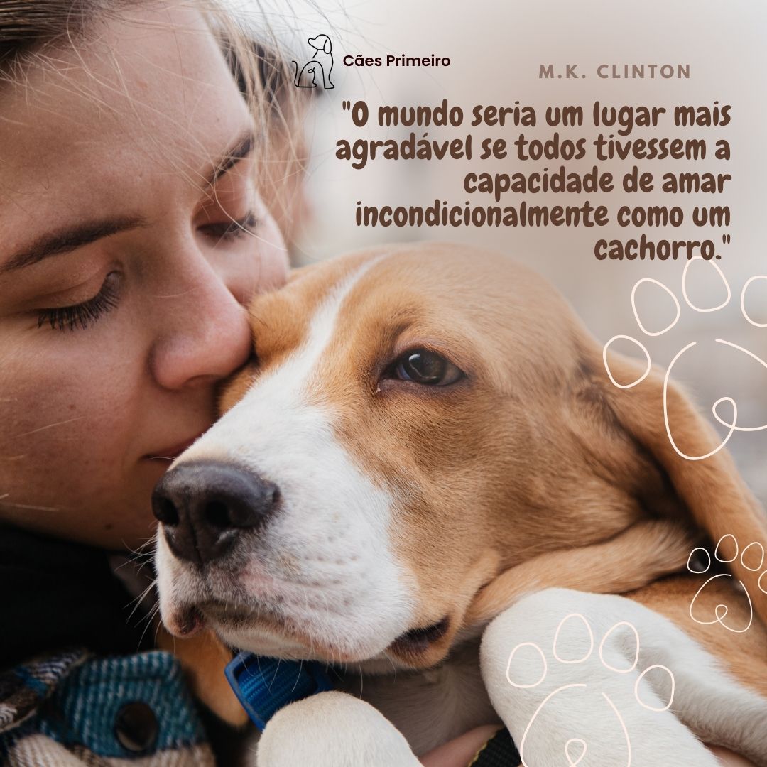 Amor de pet: +100 frases para cachorro curtas e engraçadas