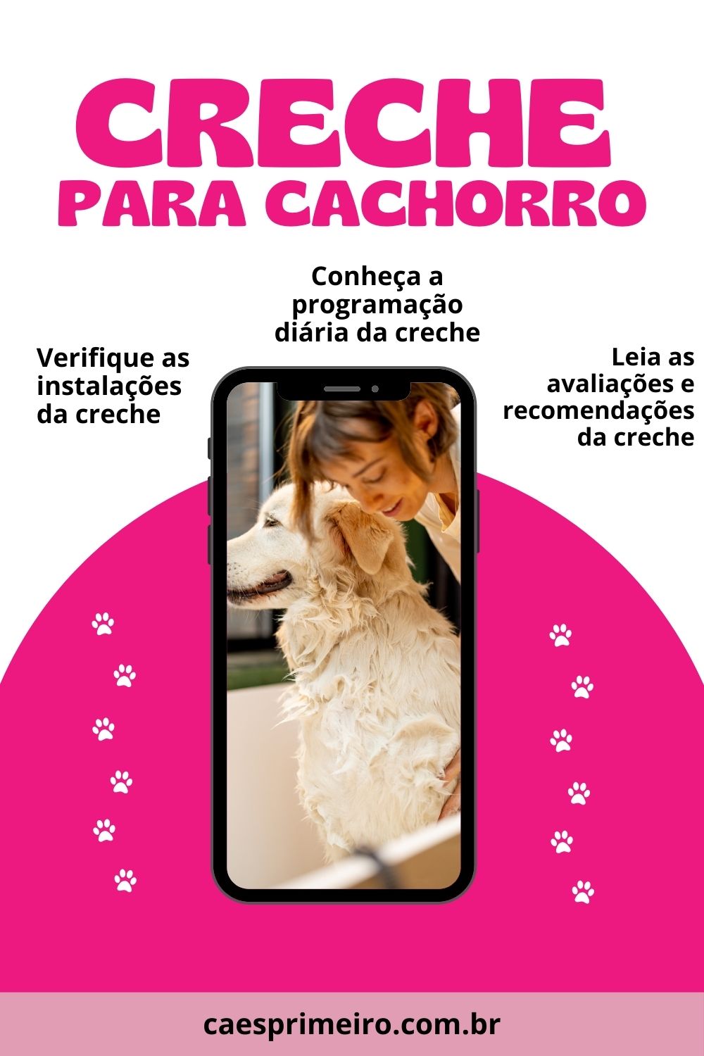 Creche para cachorro: o que é mais 6 dicas para escolher