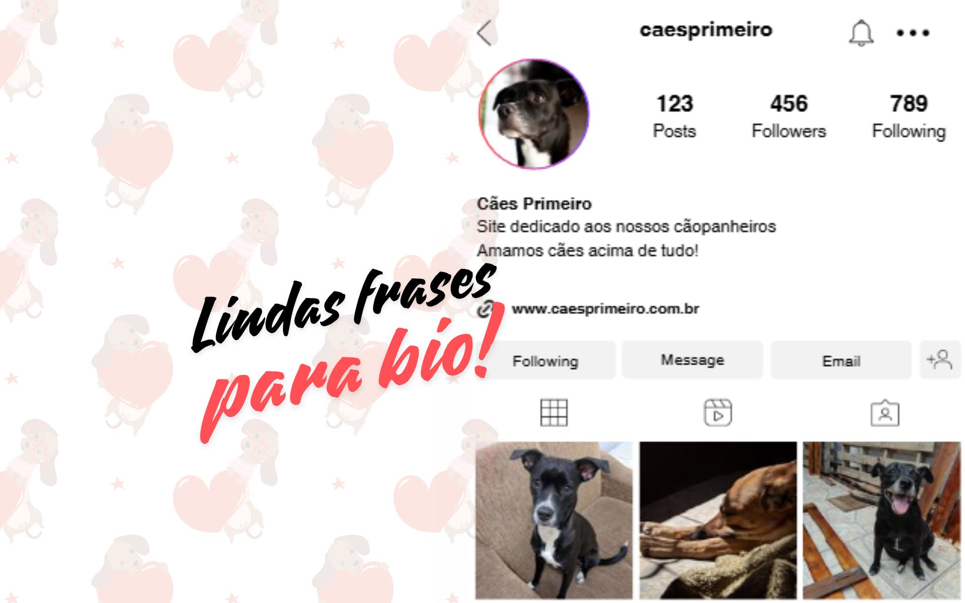 50 frases para bio de cachorro: deixe seu insta fofo!